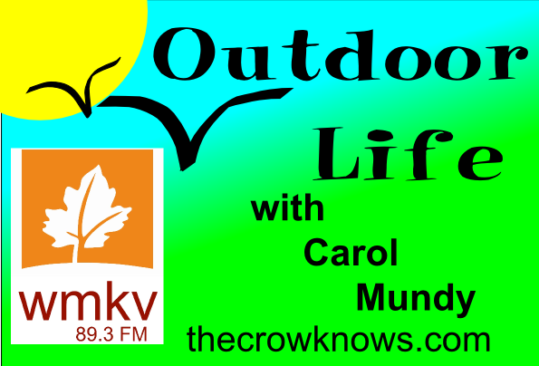 Outdoor Life with Carol Mundy - Nature Guys